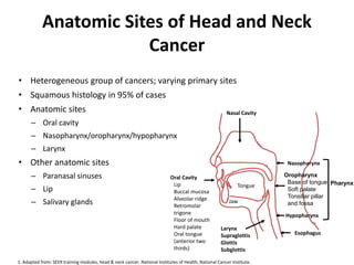 Head and neck cancer | PPT