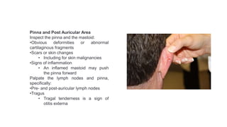 Head and neck exam.pptx