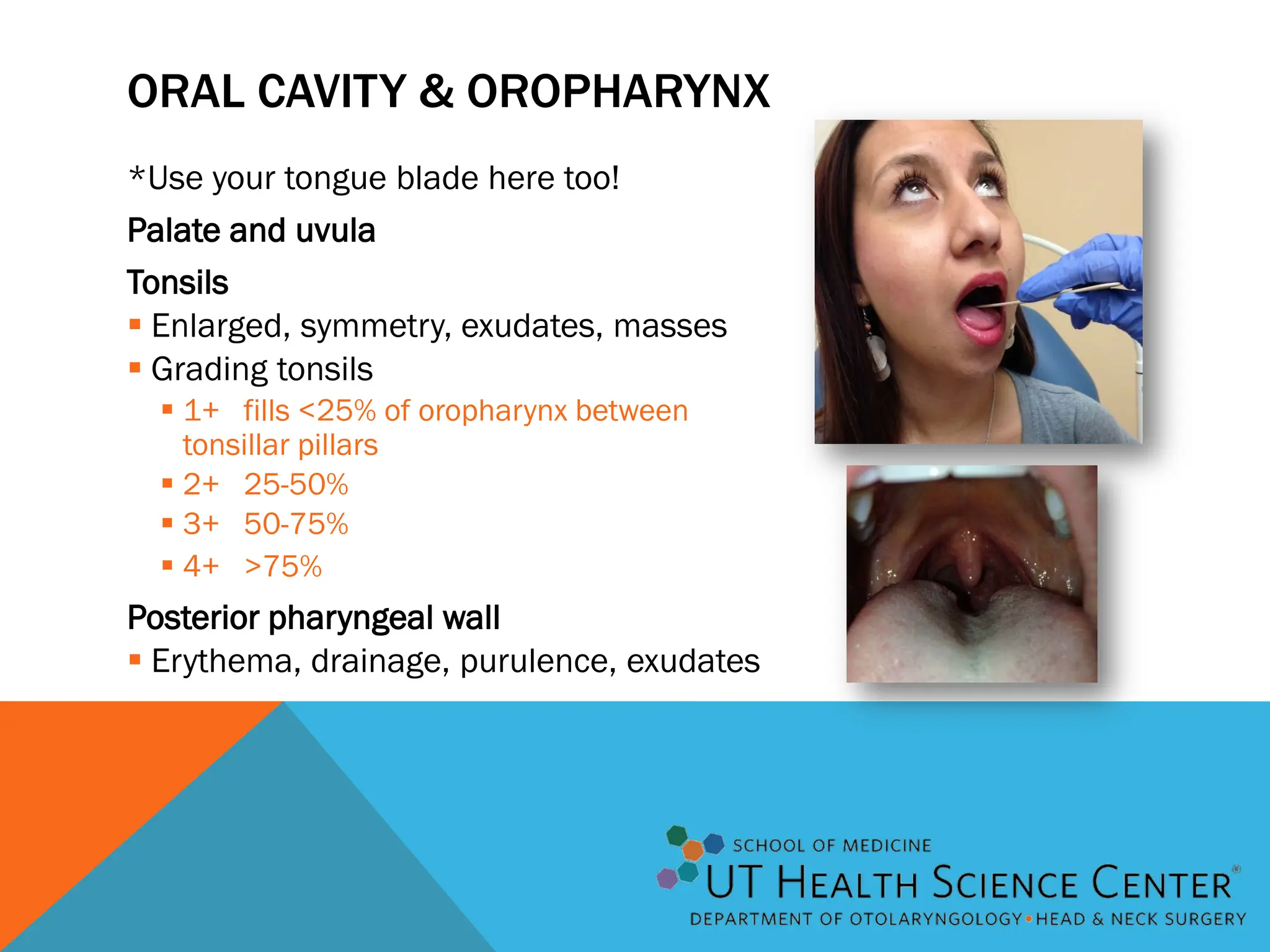 Head_and_Neck_Examinationa in ENT for clinical rotation | PDF