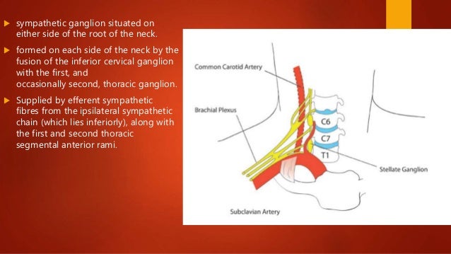 Nerve Blocks in Head and Neck