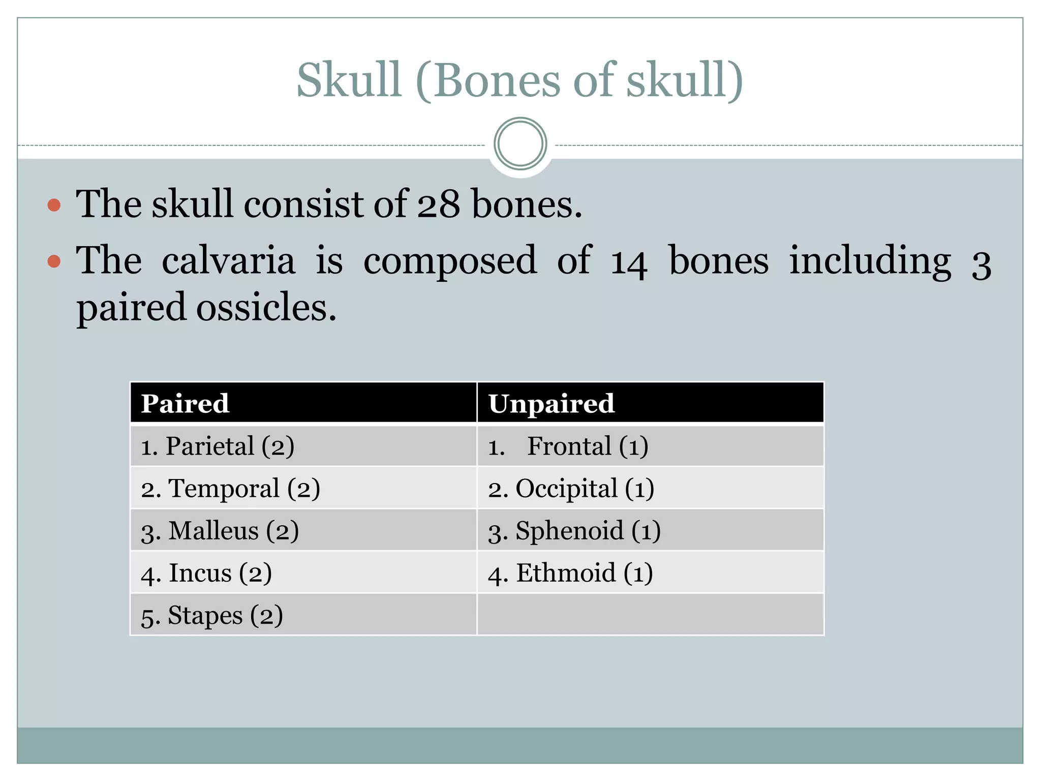 Head and neck introduction and osteology part 1 | PDF