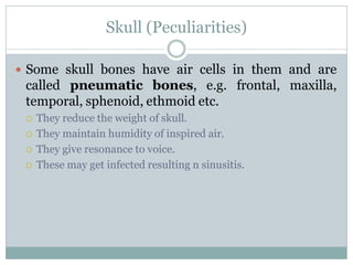 Head and neck introduction and osteology part 1 | PDF