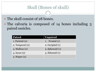 Head and neck introduction and osteology part 1 | PDF