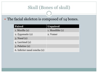 Head and neck introduction and osteology part 1 | PDF