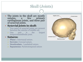 Head and neck introduction and osteology part 1 | PDF
