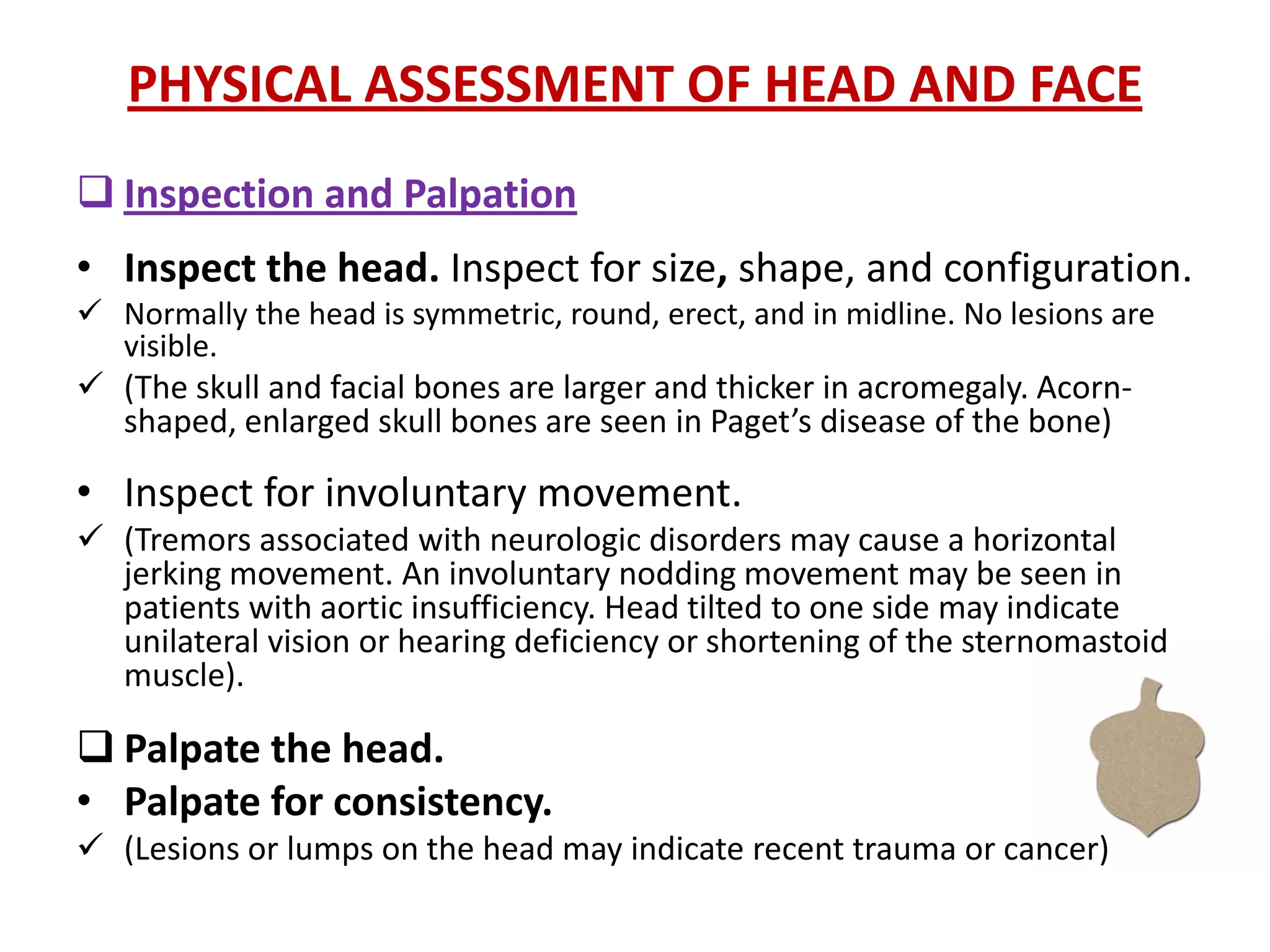 Head and Neck Lecture.pdf head and neck asses | PDF