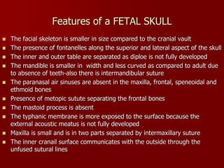 Anatomy of the HEAD AND NECK lecture 1.ppt