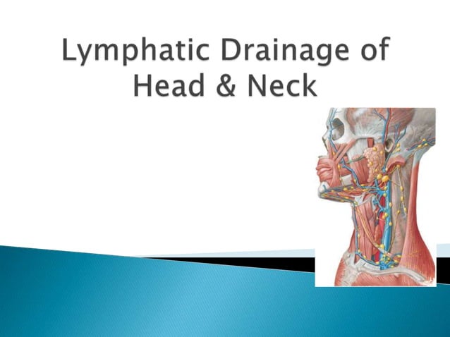 Head and neck lymphatic drainage. | PPTX