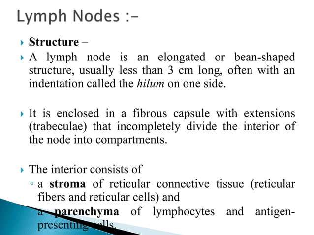 Head and neck lymphatic drainage. | PPTX