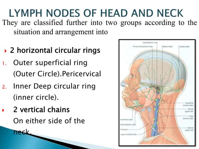 Head and neck lymphatic drainage. | PPTX