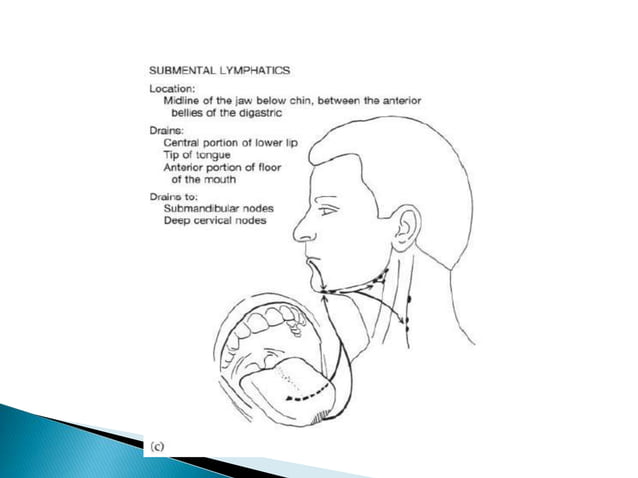 Head and neck lymphatic drainage. | PPTX