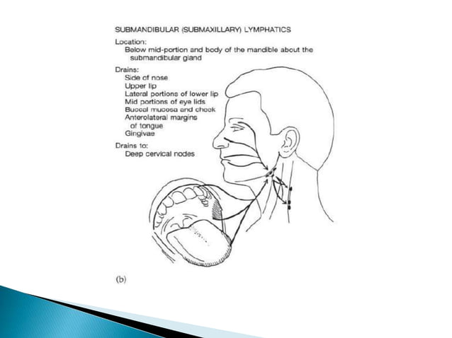 Head and neck lymphatic drainage. | PPTX