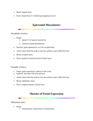 Head and neck musculature | DOC