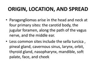 Head and neck paraganglioma | PPTX