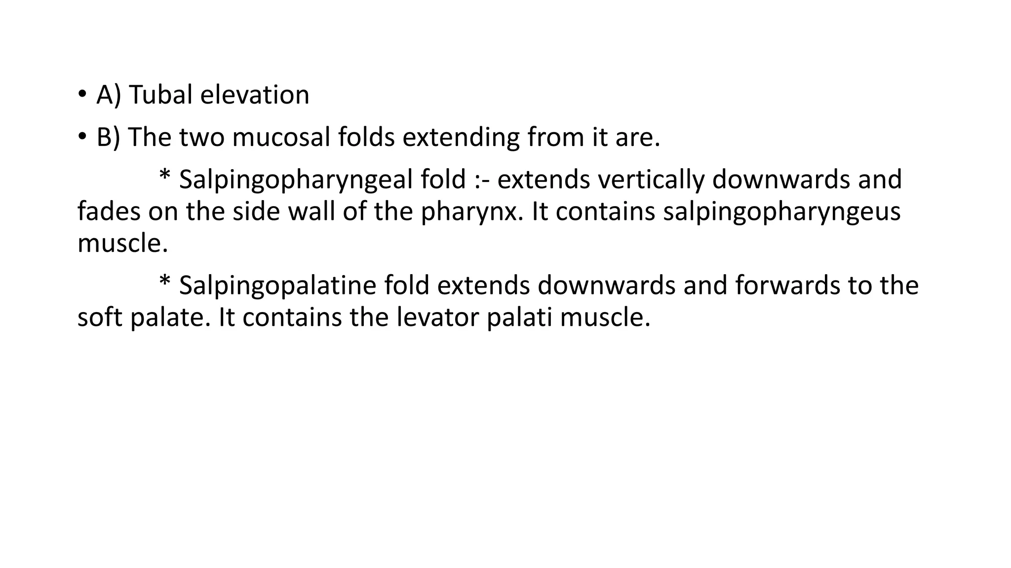 Head and neck spotters 2.pptx