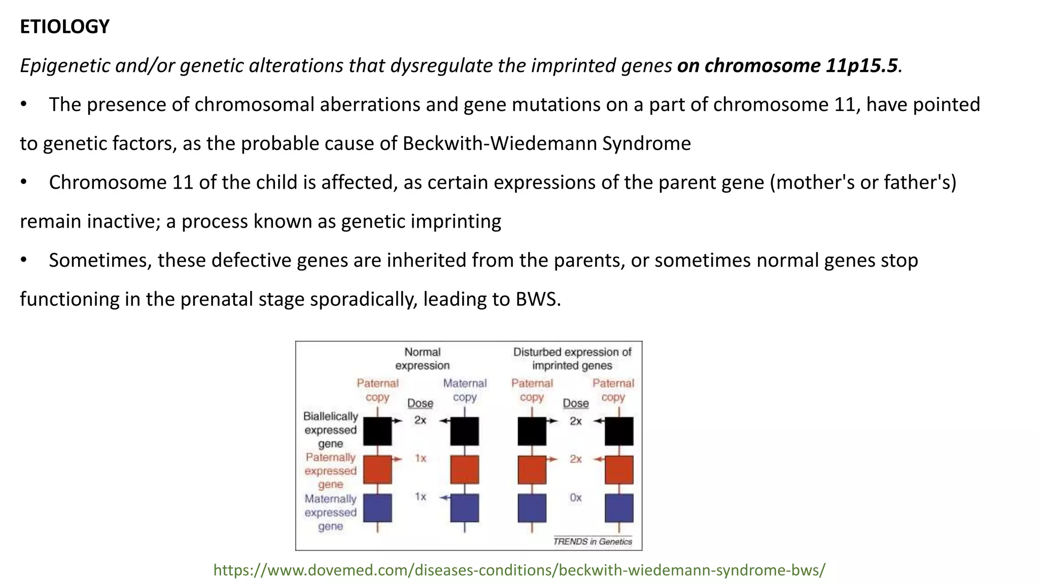 Syndrome / Head and Neck Syndrome | PPTX