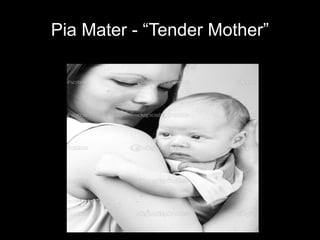 Head and spine injuries | PPT