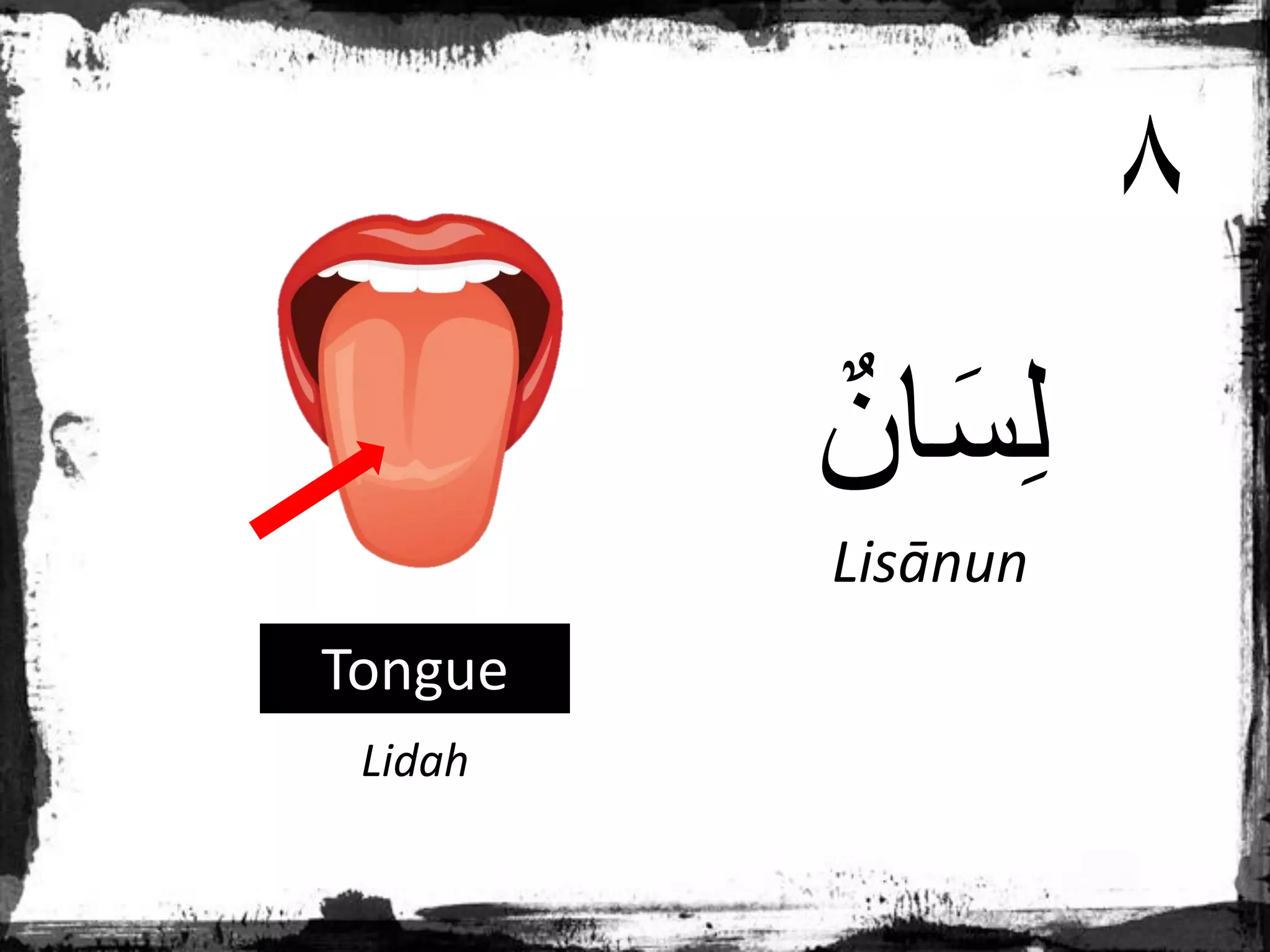 BAHASA ARAB - Kepala (Head) | PPT