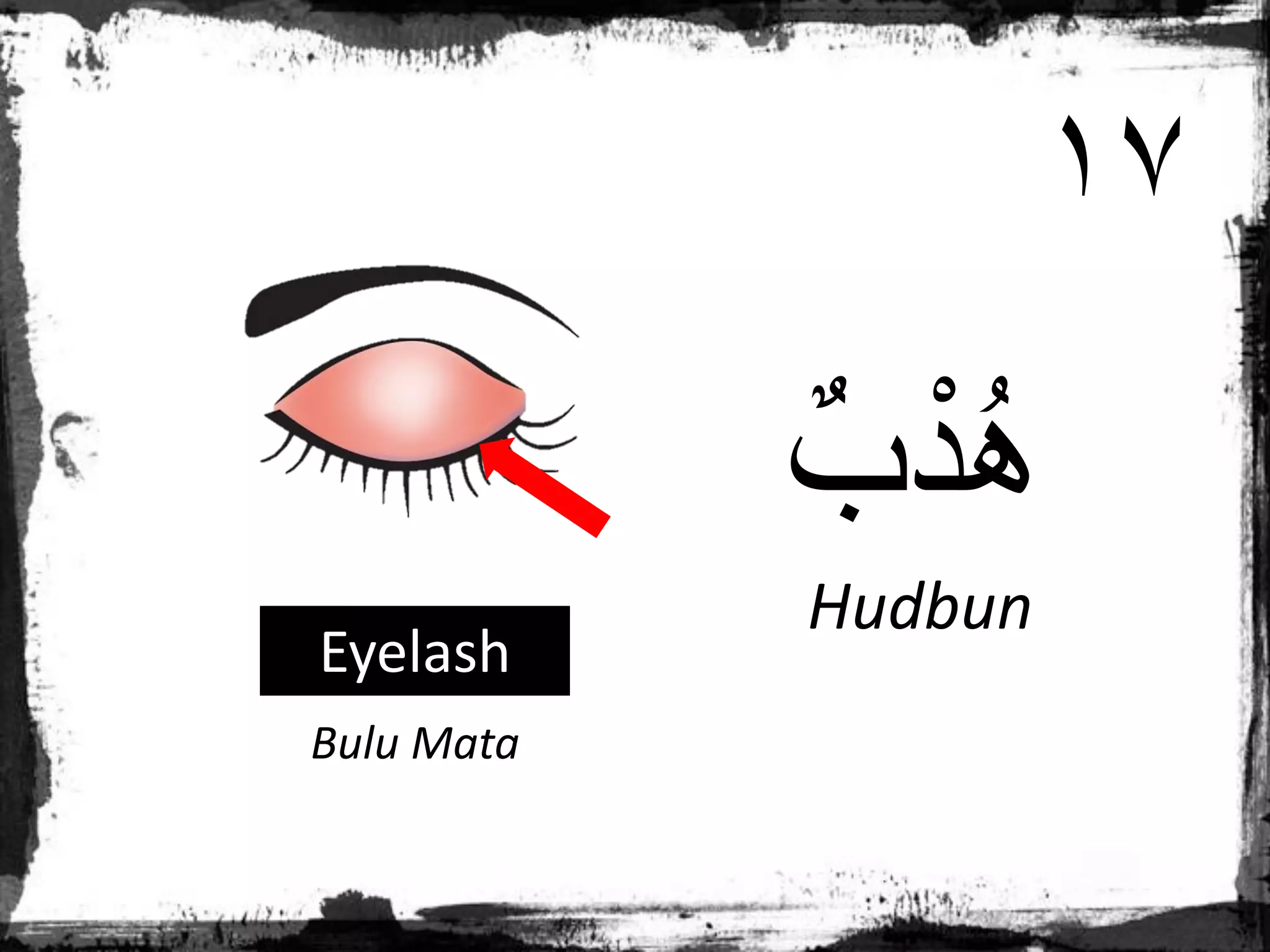 BAHASA ARAB - Kepala (Head) | PPT