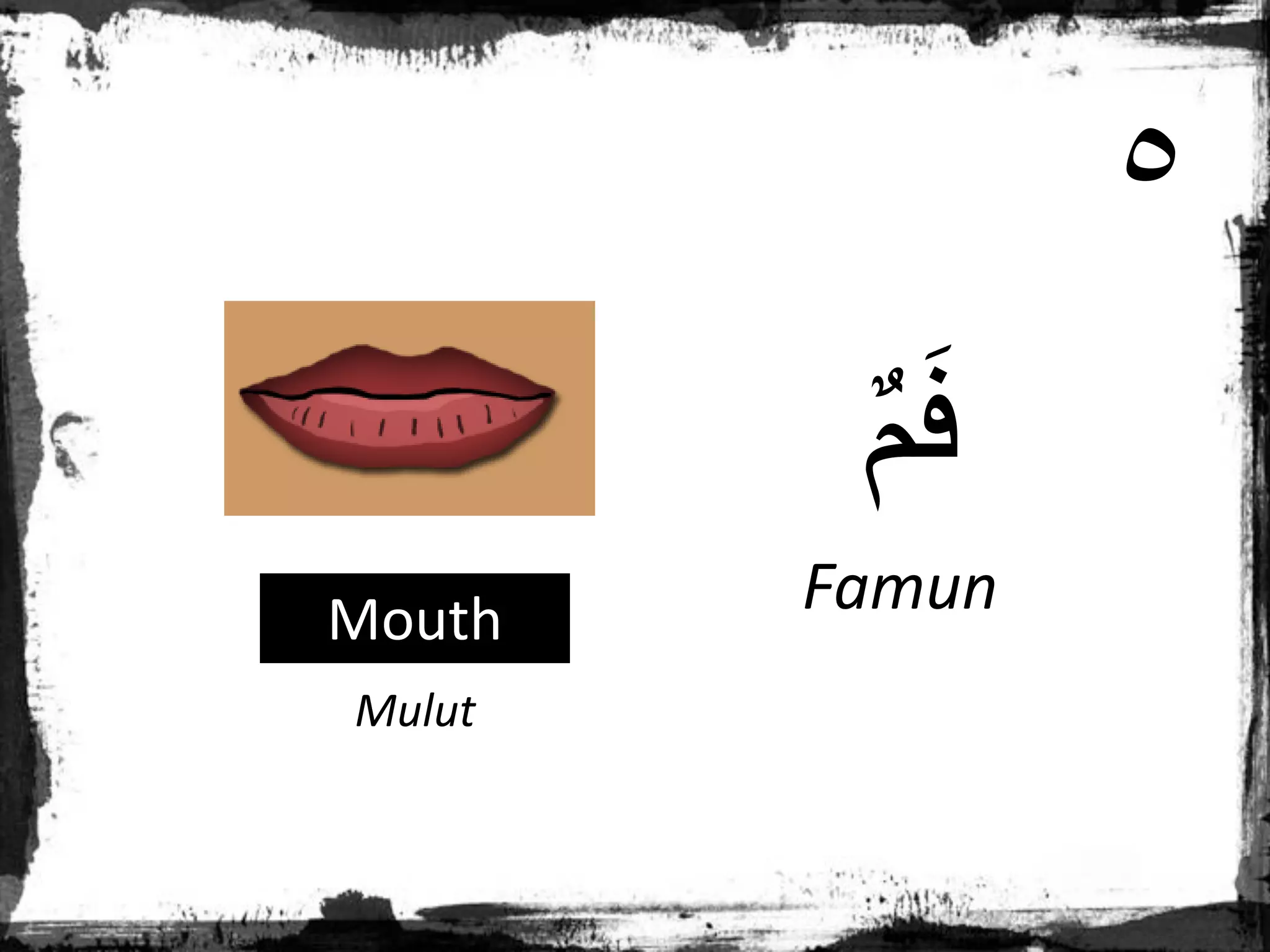 BAHASA ARAB - Kepala (Head) | PPT