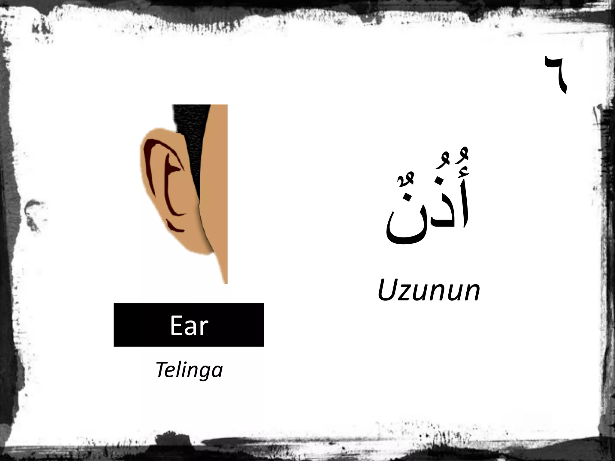 BAHASA ARAB - Kepala (Head) | PPT