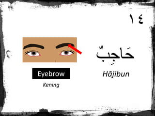 BAHASA ARAB - Kepala (Head) | PPT