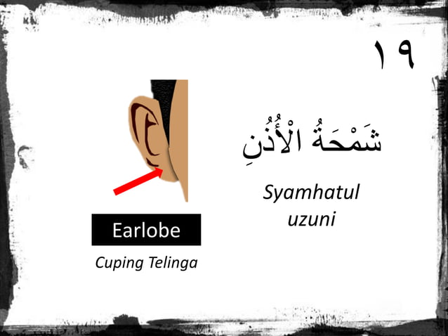 BAHASA ARAB - Kepala (Head) | PPT