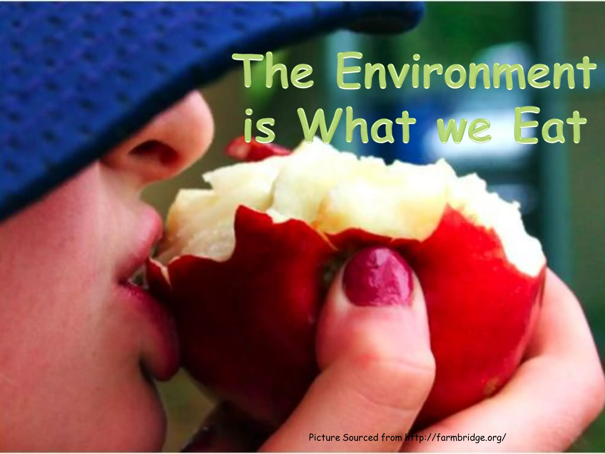 The Environment is What we Eat by Grace Mahon | PDF