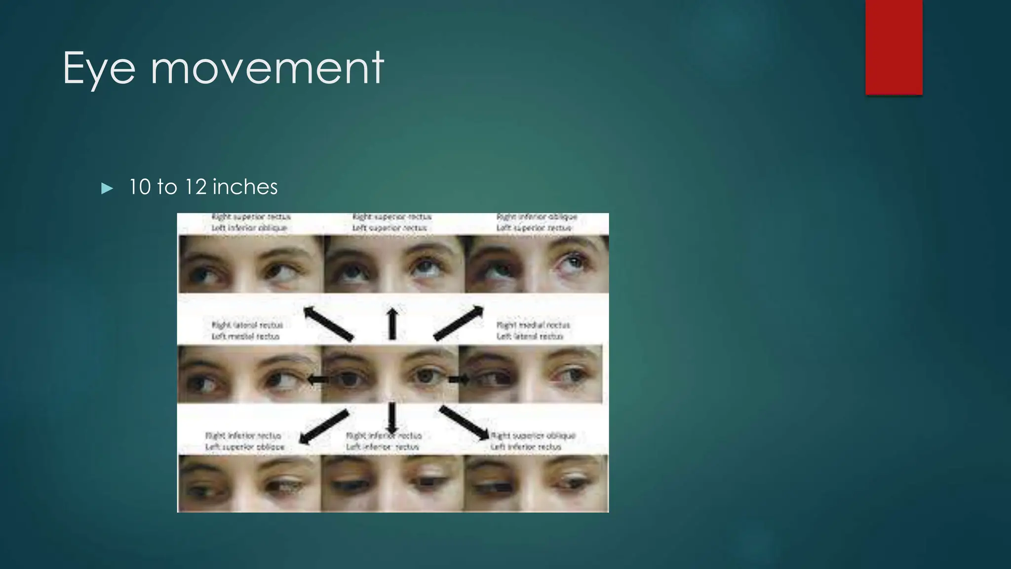 Head, eyes, ears, nose and organ and.pptx | Free Download