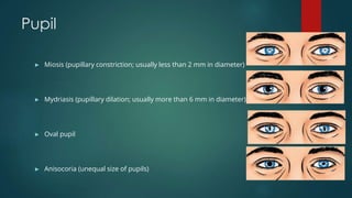 Head, eyes, ears, nose and organ and.pptx