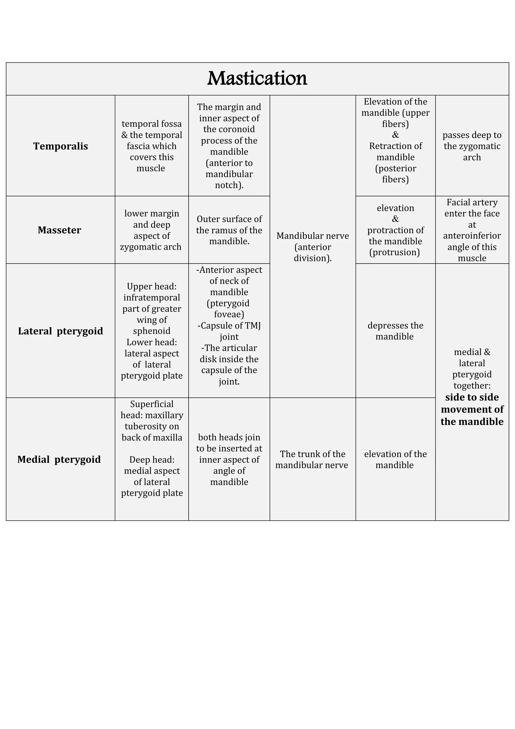 Head, face, and back muscles’ table | PDF