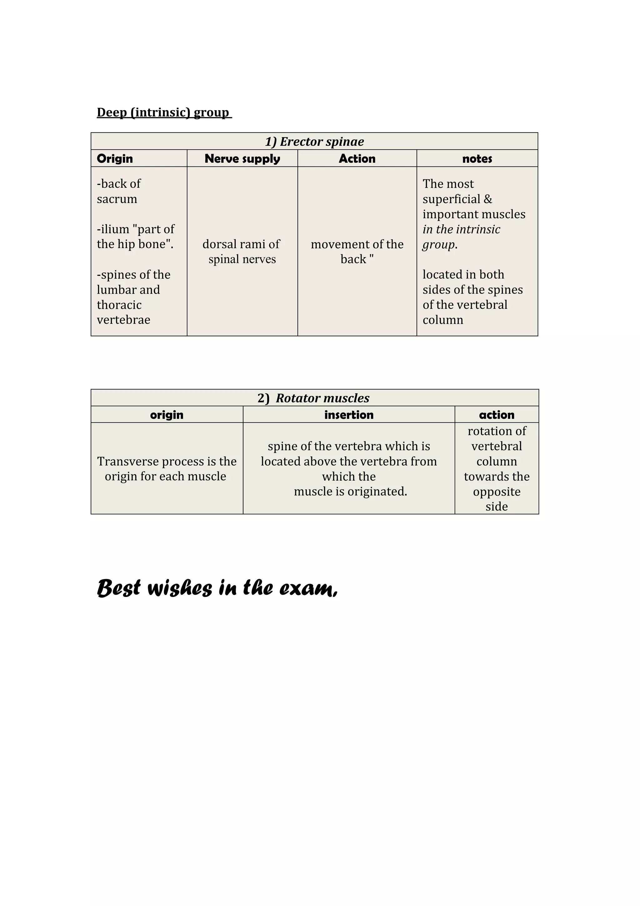 Head, face, and back muscles’ table | PDF