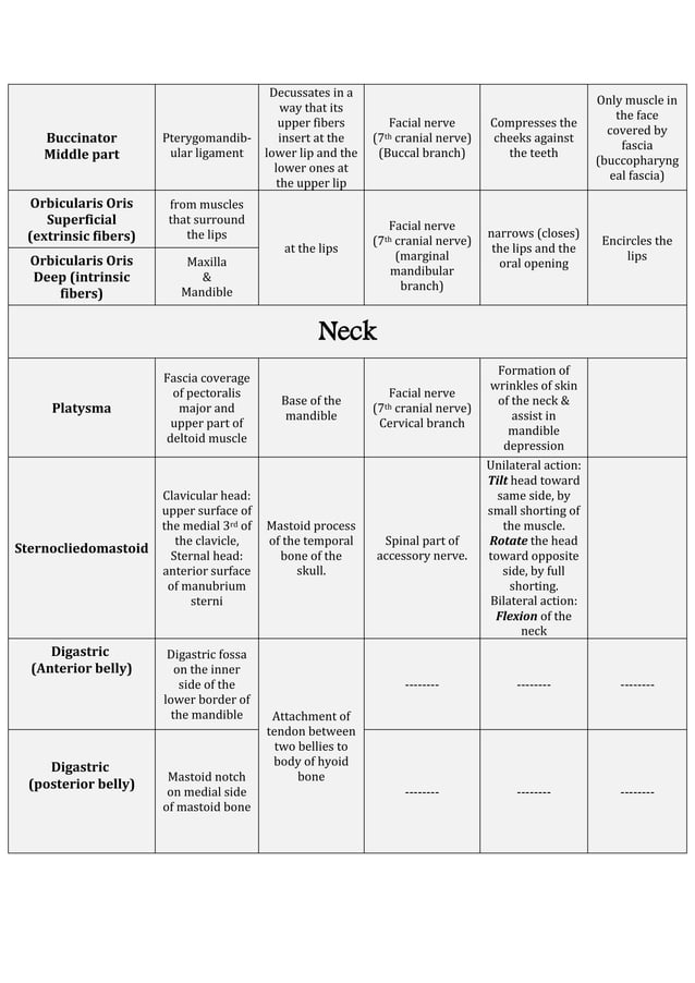 Head, face, and back muscles’ table | PDF