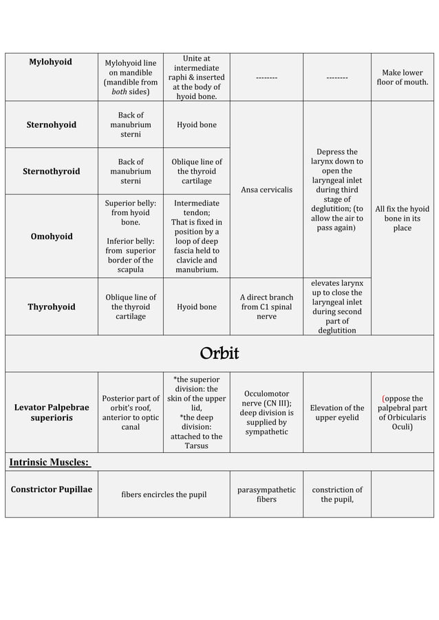 Head, face, and back muscles’ table | PDF