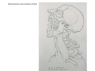 Heads, Hands, and Feet | PPT