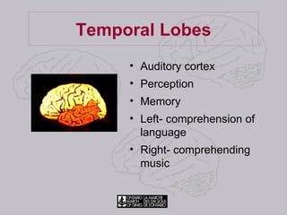 Head Injury | PPT | Brain and Nervous System Disorders | Diseases and ...