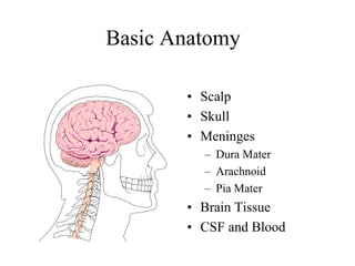 Head injury | PPT