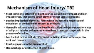 HEAD INJURY- Basic Neurology and Assessment.pptx