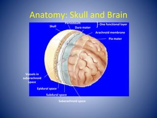 Head injury by Dr. sumit sinha | PPT