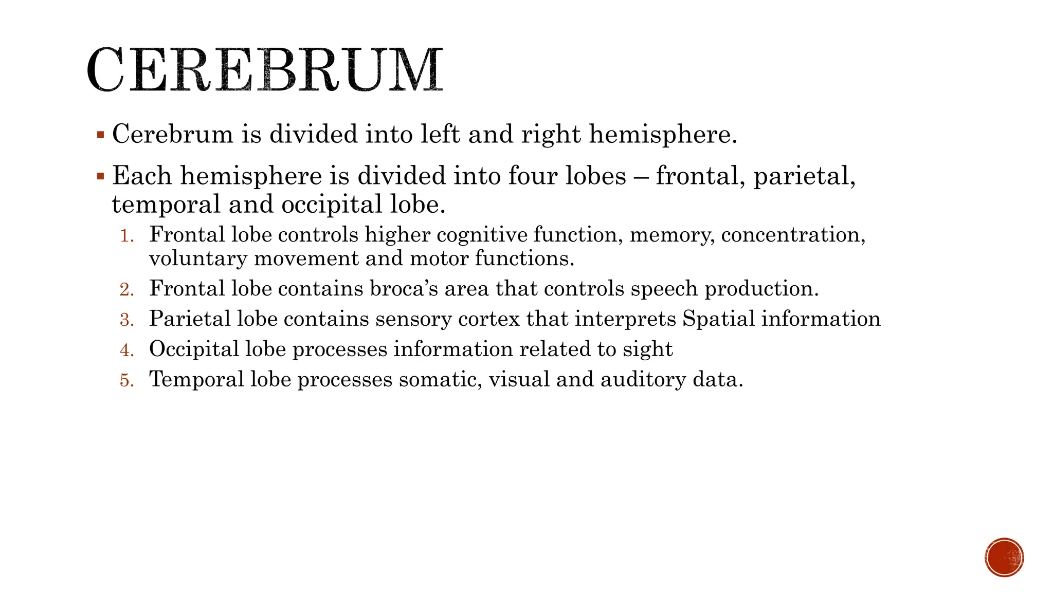 Head Injury (Traumatic Brain Injury) - types, complications and ...