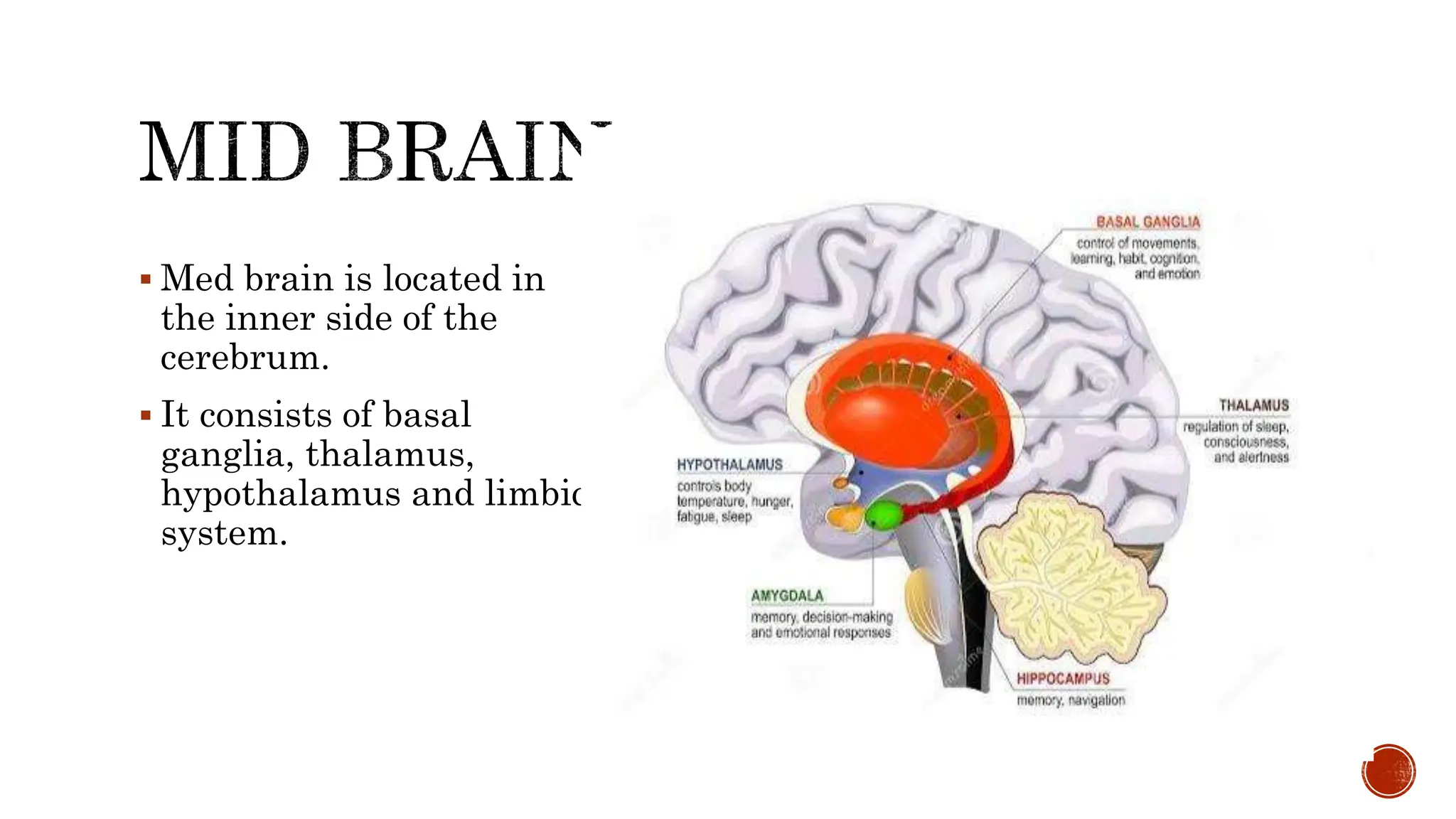 Head Injury (Traumatic Brain Injury) - types, complications and ...