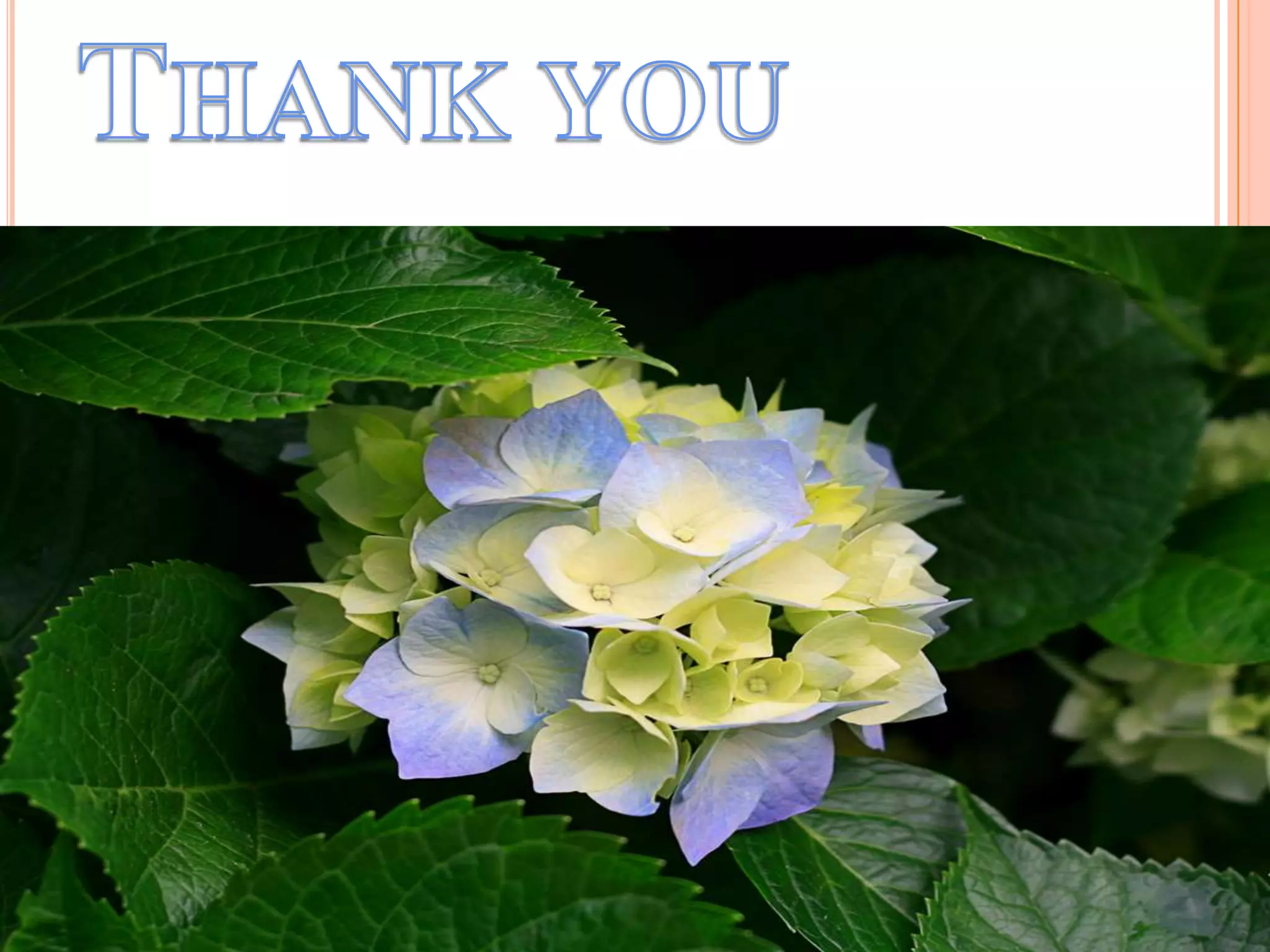 Head injury ppt | PPTX