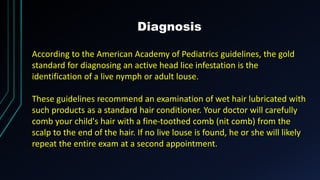 Head lice- diagnosis & management ( medical information ) | PPTX