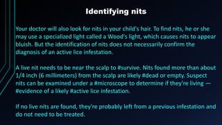 Head lice- diagnosis & management ( medical information ) | PPTX