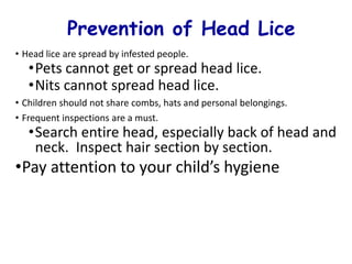 Head Lice.ppt