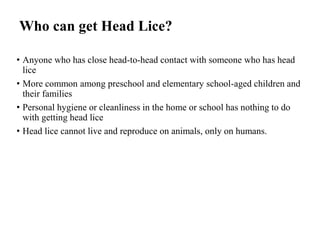 Head Lice.ppt