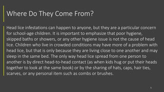 Head Lice (Louse) | PPTX