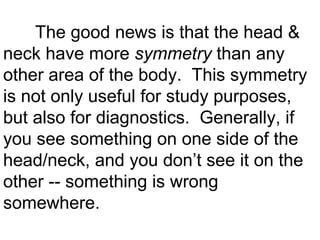 Head and Neck | PPT