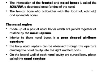 Head and Neck, Note Material for studying | PPTX