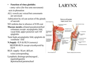 Head & neck-larynx.pdf